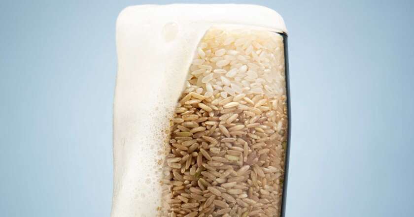 Beer Brewing With Rice: The Perfect Combination | Rice Array