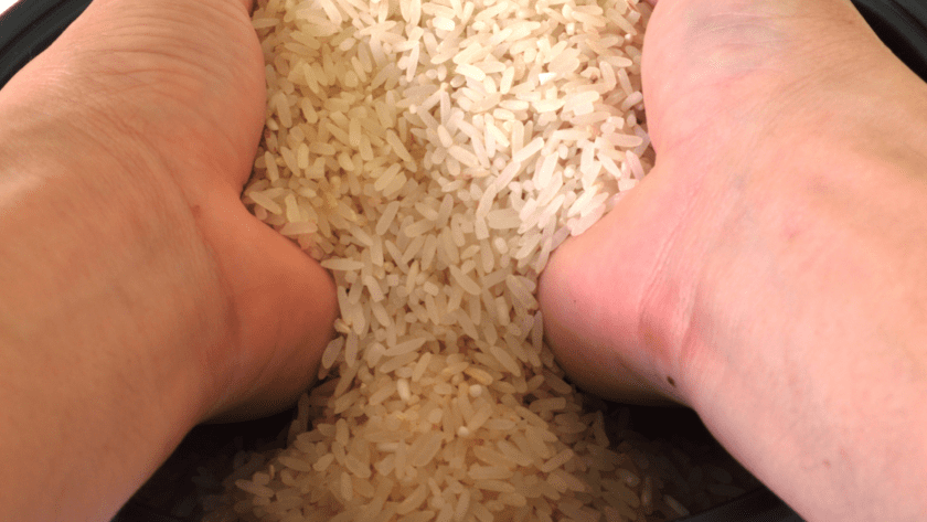 How to Use a Rice Cooker: The Prestige Model | Rice Array