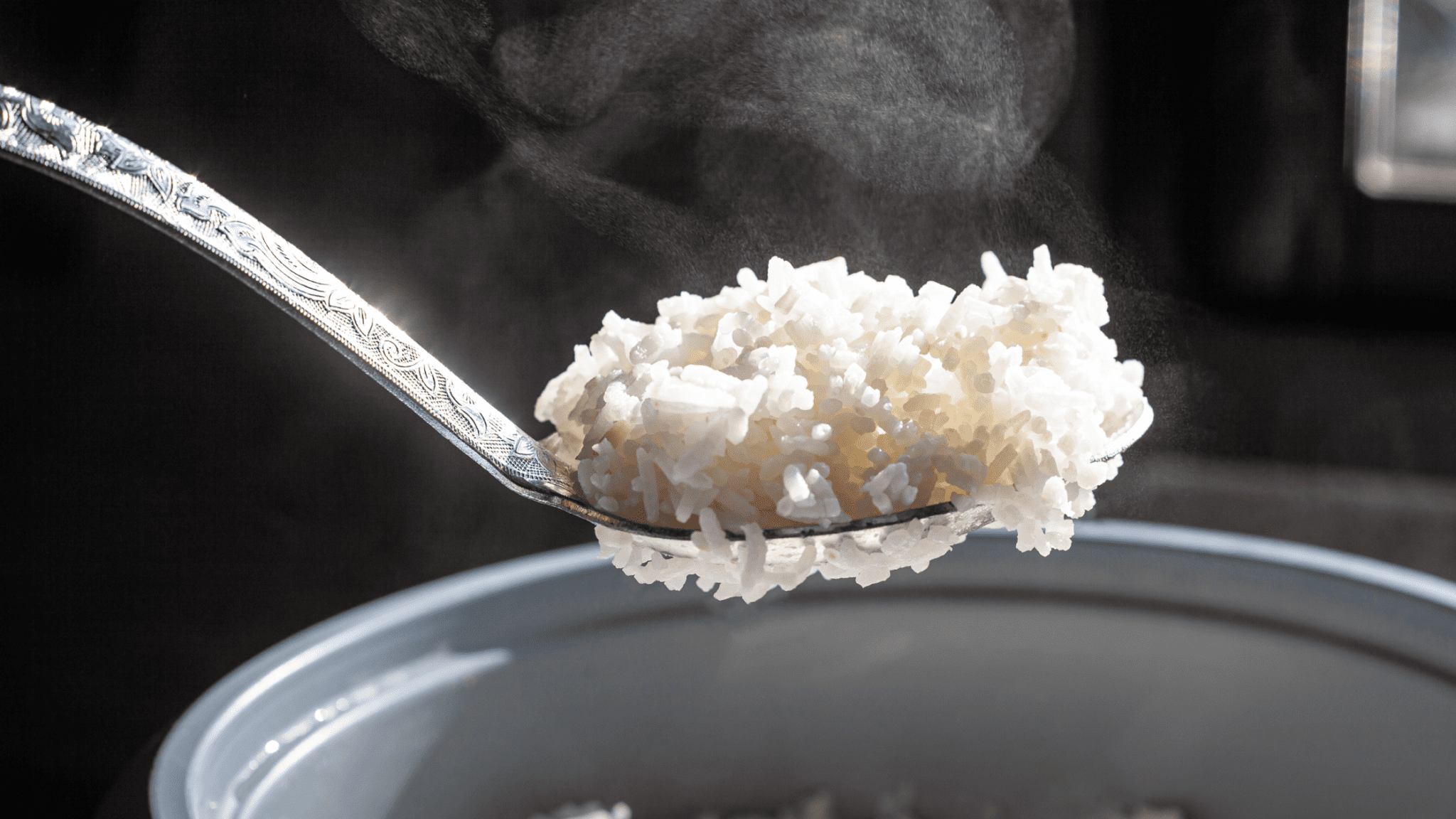 8 Reasons Why an Aroma Rice Cooker is the Best Way to Cook Rice - Rice ...