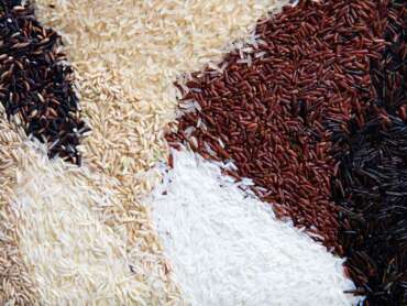 What Are the Different Types Of Short Grain Rice? | Rice Array